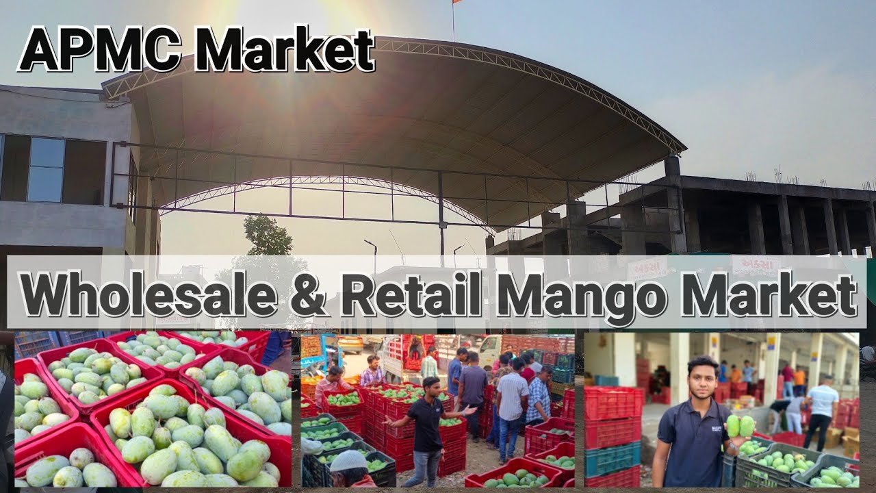 APMC Market - Mango Market Dharampur - Wholesale And Retail Mango ...