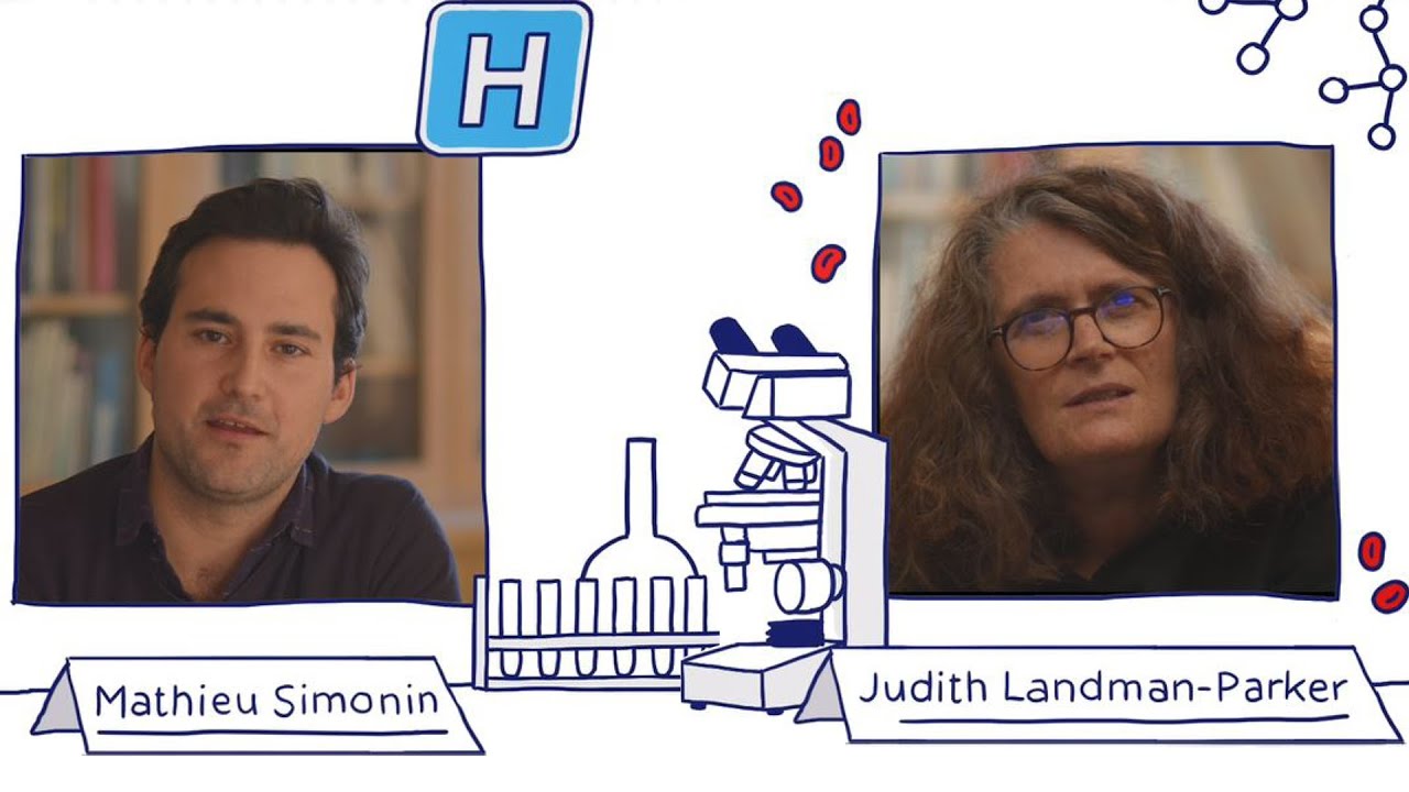 Mathieu Simonin & Judith Landman-Parker | Alter Ego - YouTube