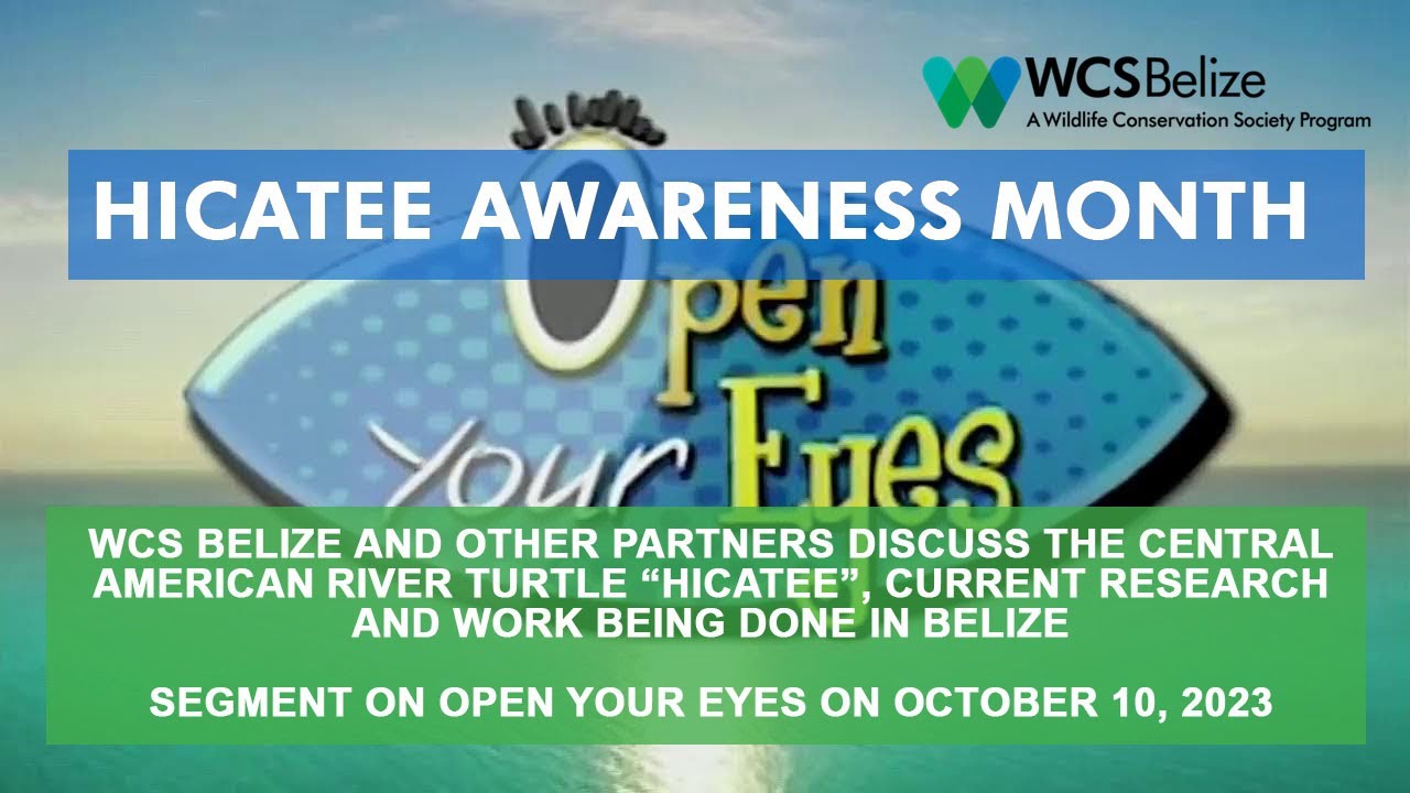 Hicatee Awareness Month with WCS Belize - Segment on Open Your Eyes ...
