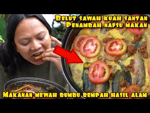 BELUT SAWAH KUAH SANTAN BIKIN NAFSU MAKAN