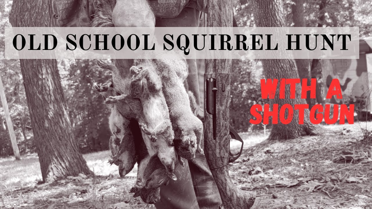 OLD SCHOOL SHOTGUN SQUIRREL HUNTING - YouTube