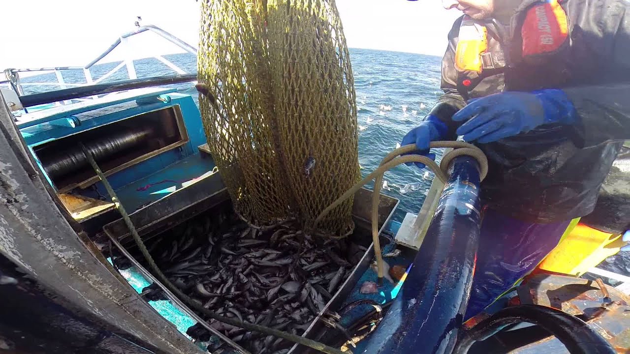 Opening the codend !! (gopro) - YouTube