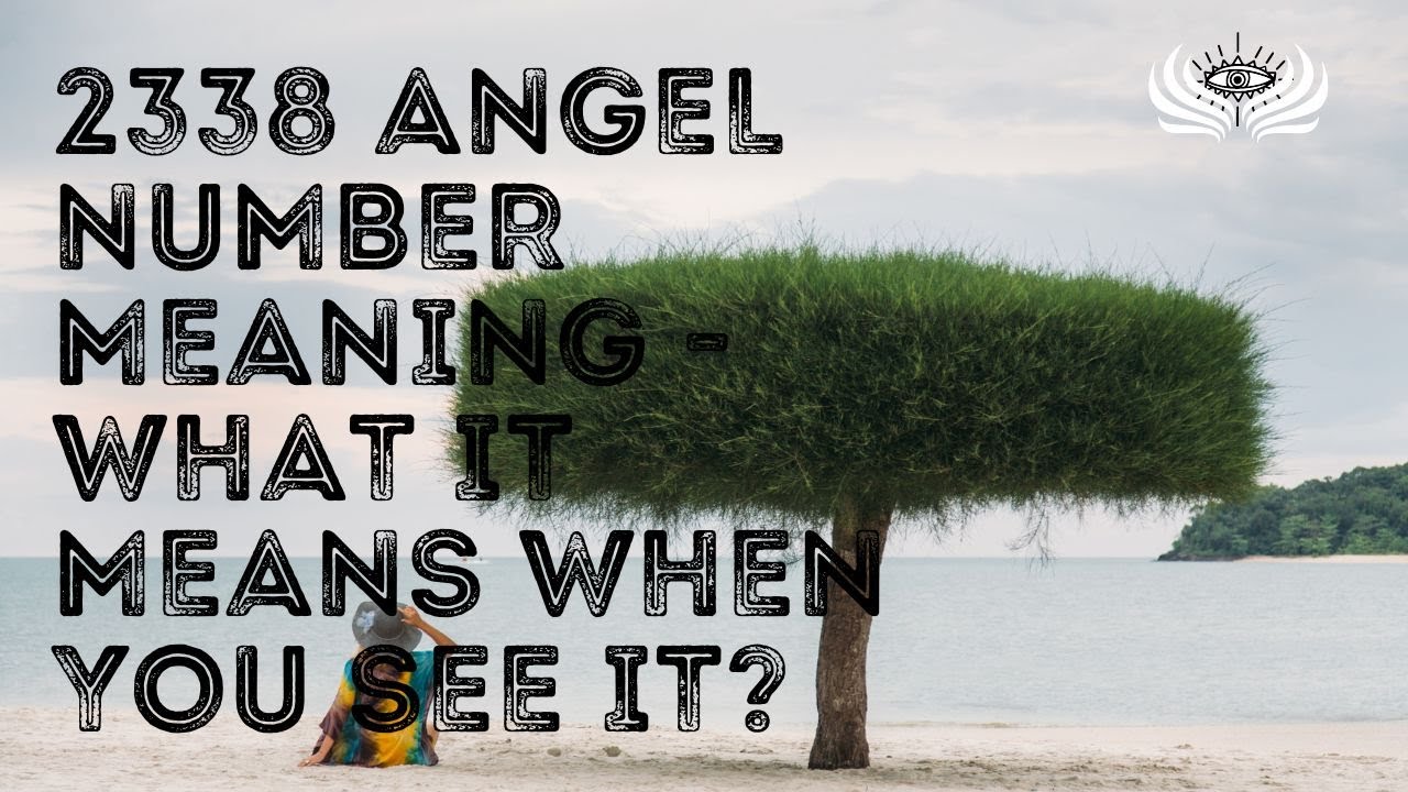 2338 Angel Number Meaning ⭐ What It Means When You See It? - YouTube