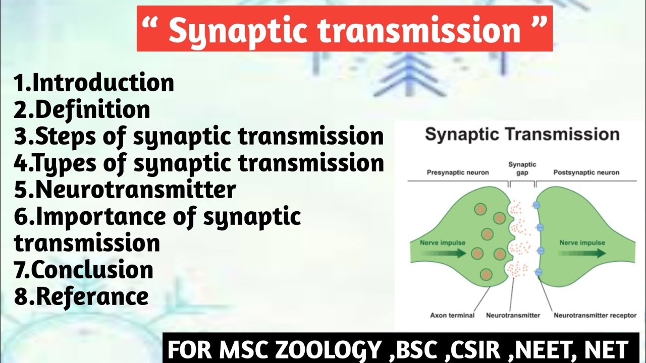 Synaptic transmission | Steps of synaptic transmission | Types ...