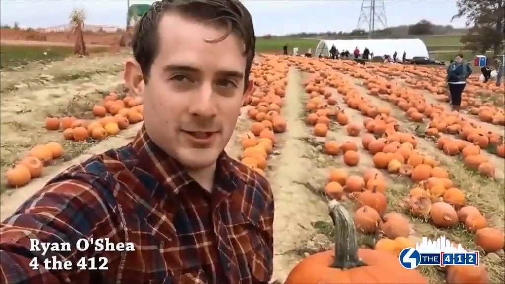 4 the 412: Fall fun at Simmons Farm - YouTube