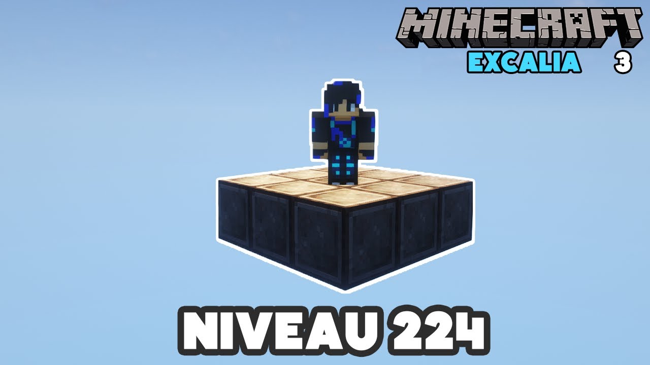 J'ai sacrifié 2 BLOCS de NETHERITE pour mes niveaux ! - Episode 3 ...