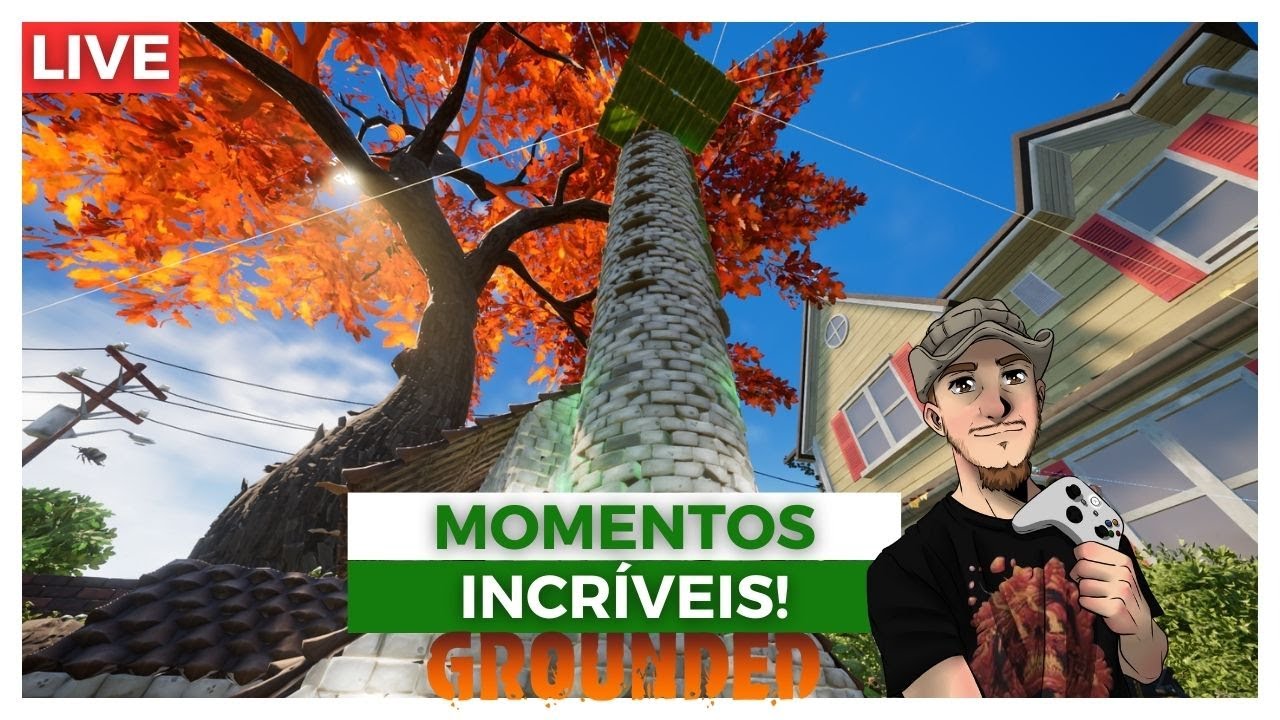 GROUNDED LIVE: Momentos Incríveis no Canal! Gratidão e Vamos Conversar ...
