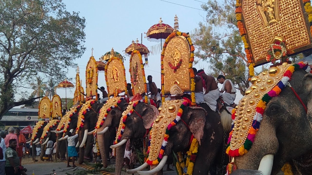 Vadanappally pooram (4/2/2025) @Aanapremi307 - YouTube