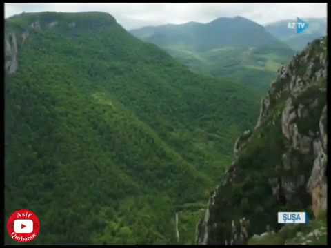 Elcin davudov saxurlar💪