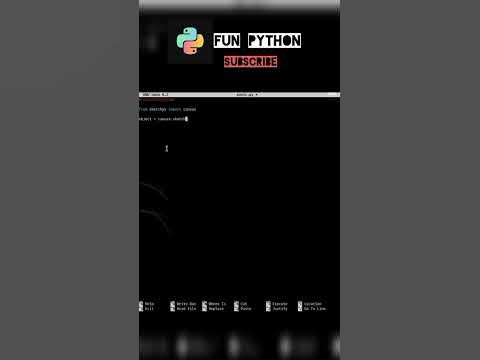 Sonic Drawing With Python Skratch | Fun Python - YouTube