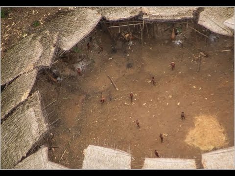 Incredible Photos Show Uncontacted Amazonian Tribe Living Perilously ...