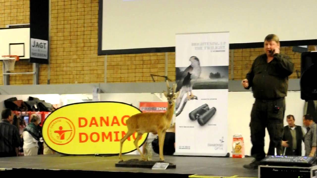 Kim lindgren fortæller om råvildt - YouTube