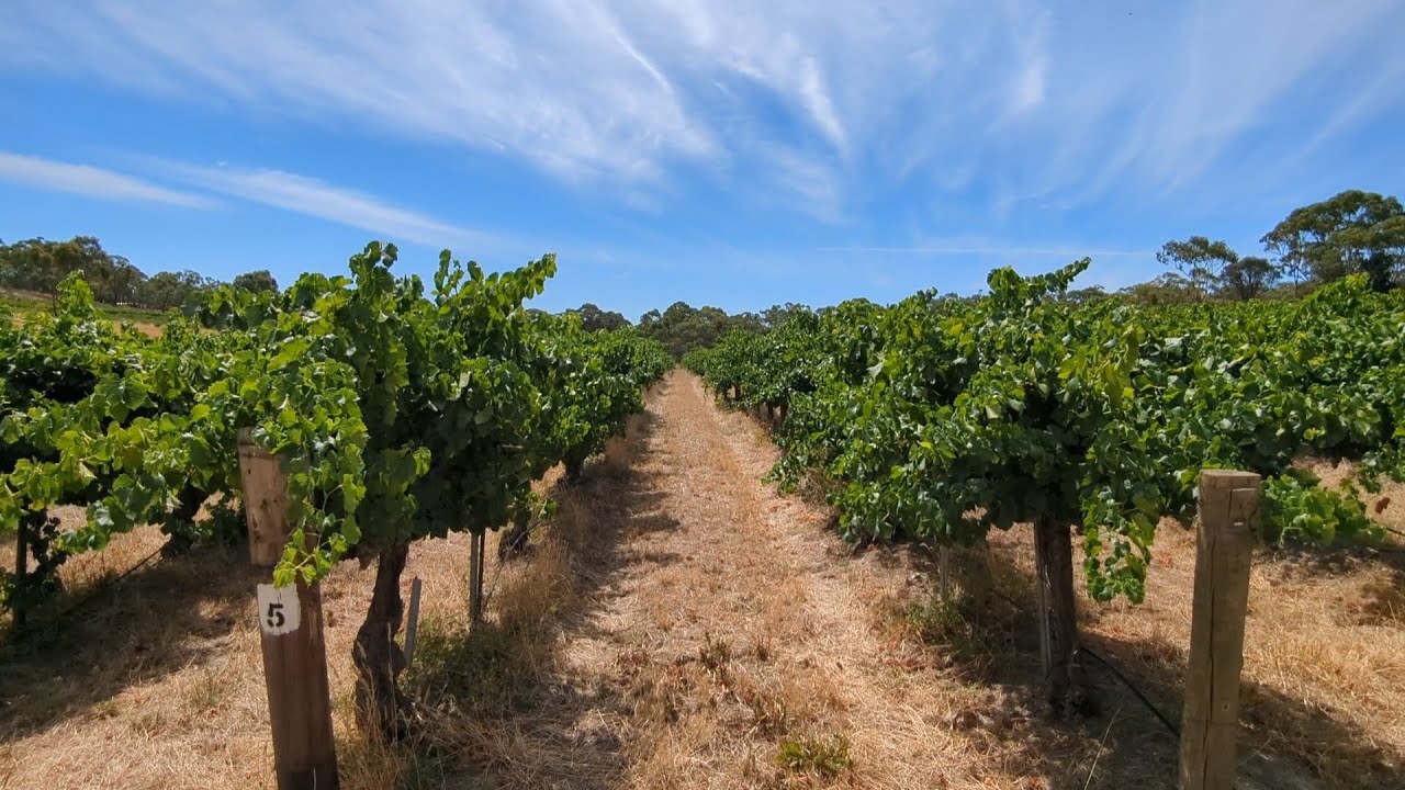 Australia | Clare Valley - YouTube