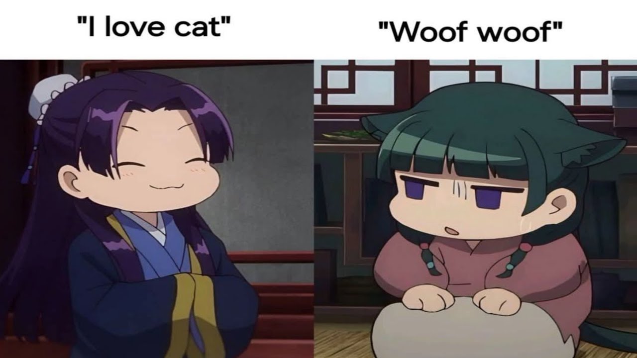 The Apothecary Diaries Season 2 | Memes 16 - YouTube