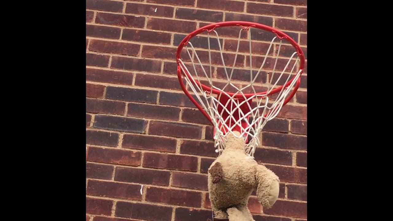 Boomerang And Patch Try Sports - YouTube