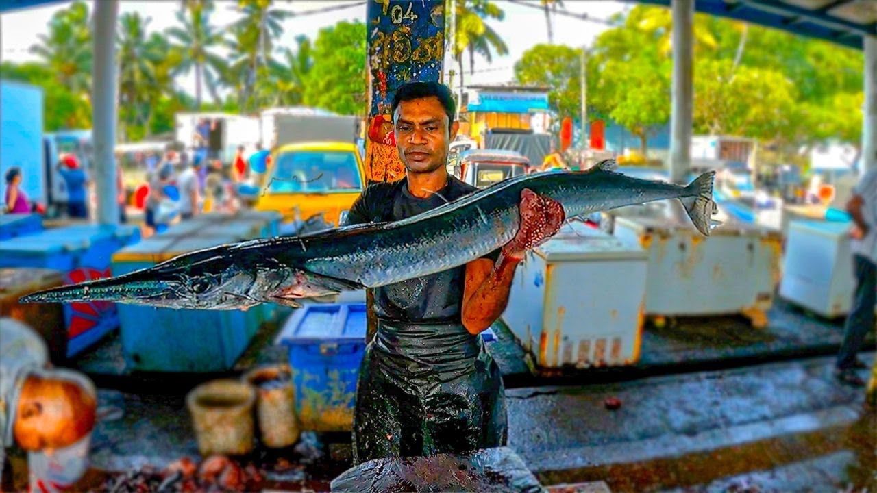 Slicing the Sea: Pro Fish Cutting Techniques - YouTube