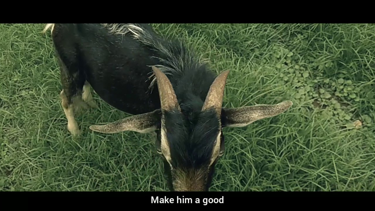 The Story of the Mighty Goat | Xavier Stories - YouTube