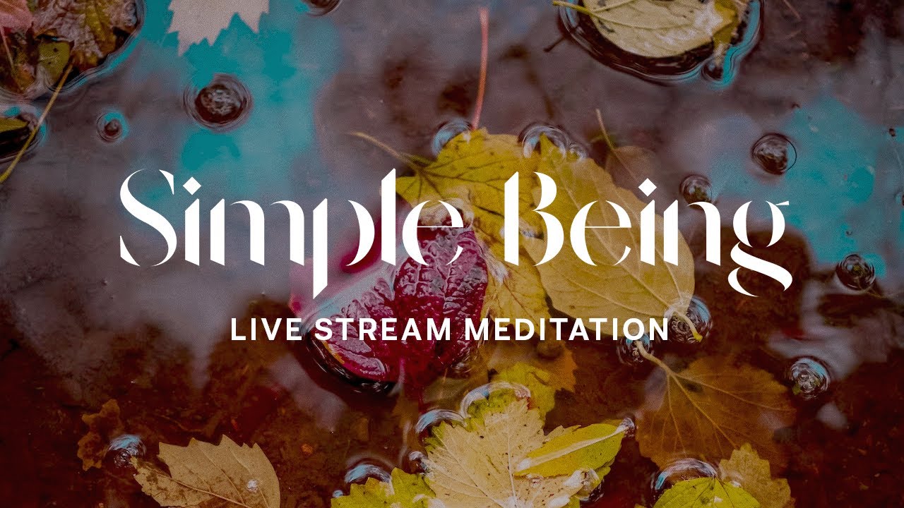 Embodiment Meditation - Simple Being (Live Stream) | November 2023 ...
