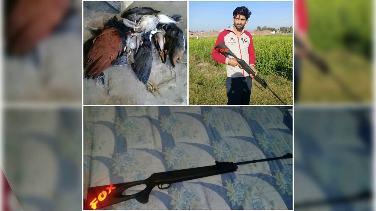 Mani rajput hunting - YouTube