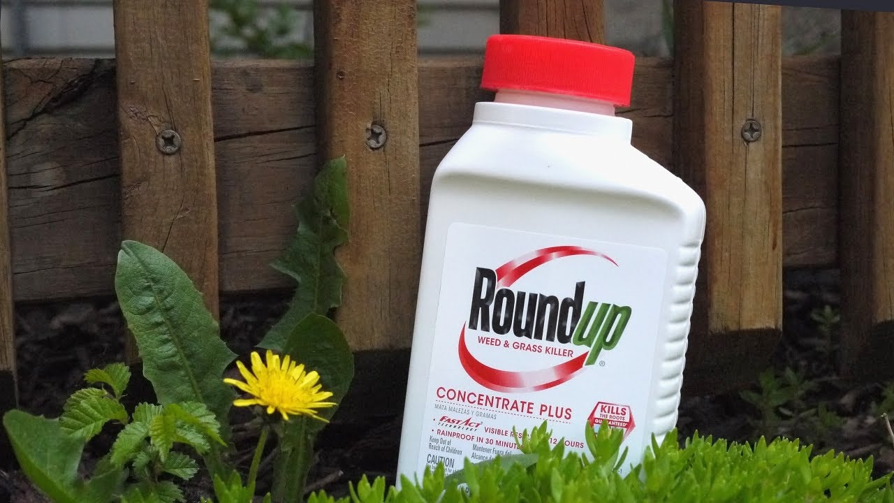 Court sides with Roundup victims - YouTube