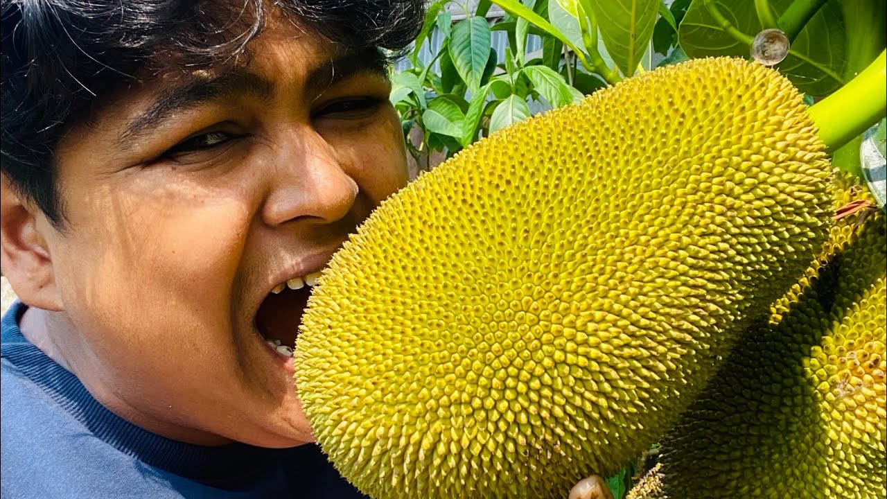 Mukban Eating 🍽 show 🤤 - YouTube