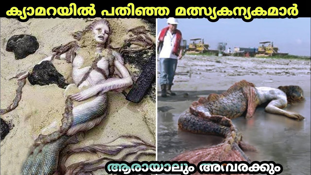 10 Real Life Mermaids Caught On Camera Youtube