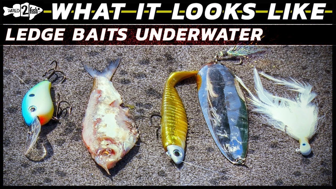 Ledge Baits for Bass Fishing | What They Look Like Underwater - YouTube
