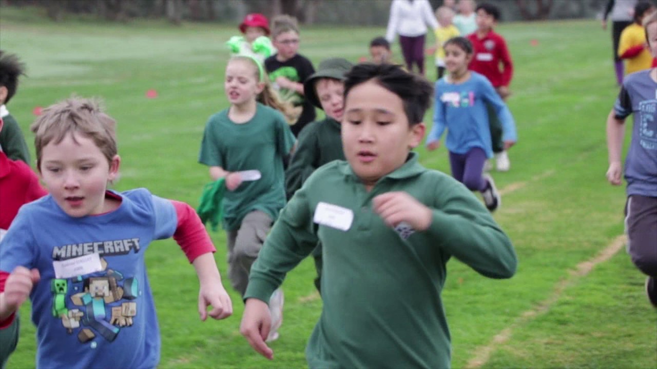 Macgregor Primary School Athletics Carnival 2017 - YouTube