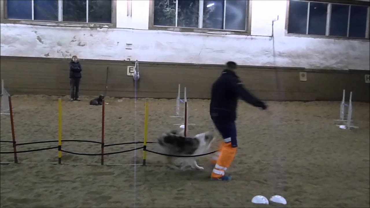 Zora und Christian 26.03.15 - YouTube
