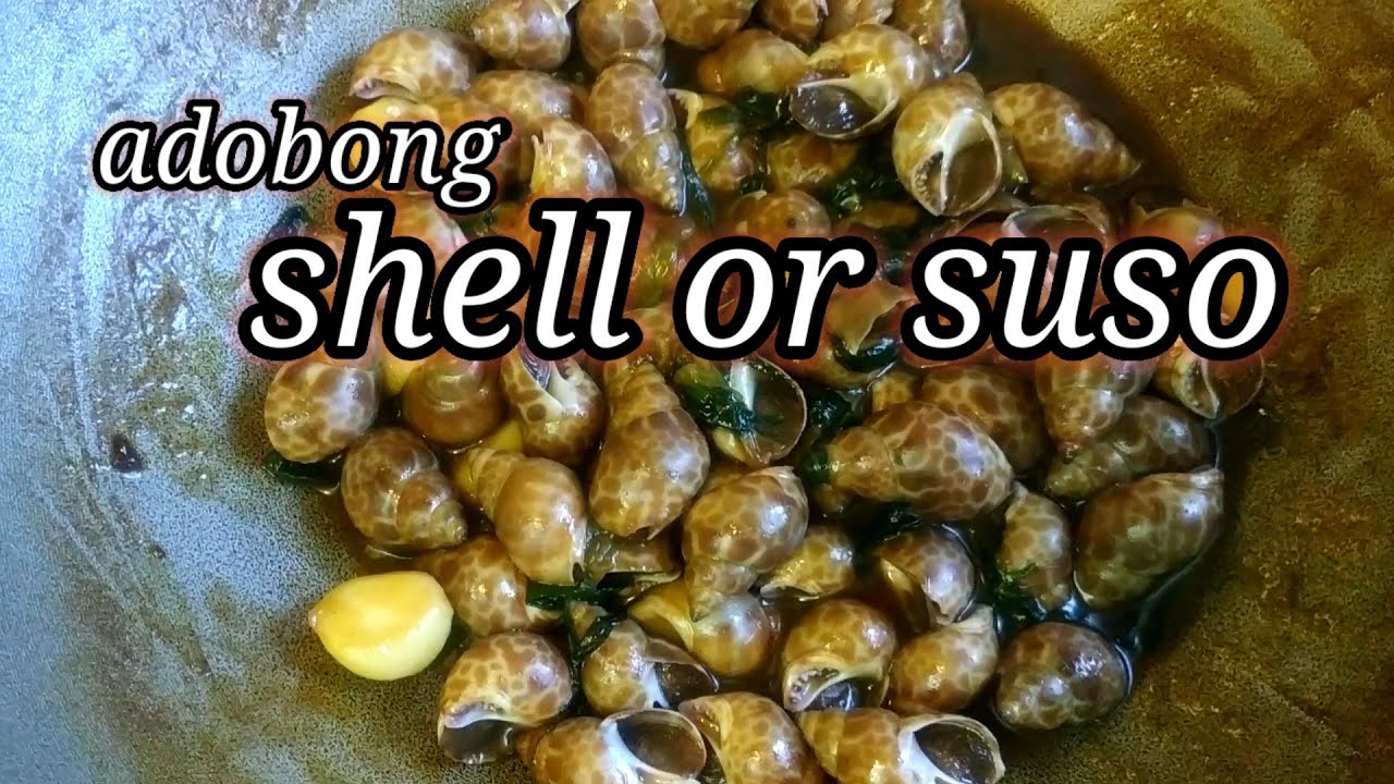 Another recipe for Suso/ shell adobo - YouTube