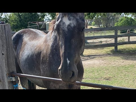 Ellie Time Nov 25 2024 - YouTube