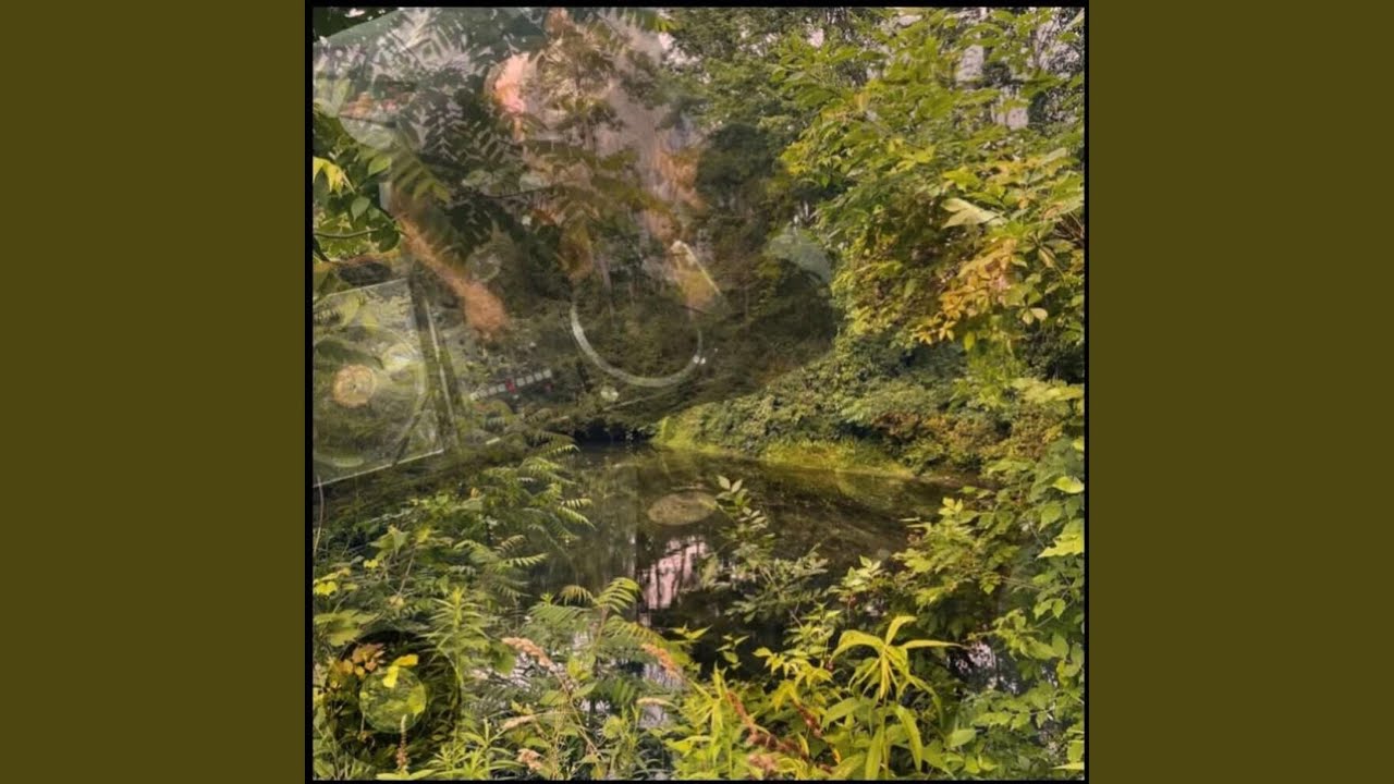 FIREFLY (just another soul beat) - YouTube