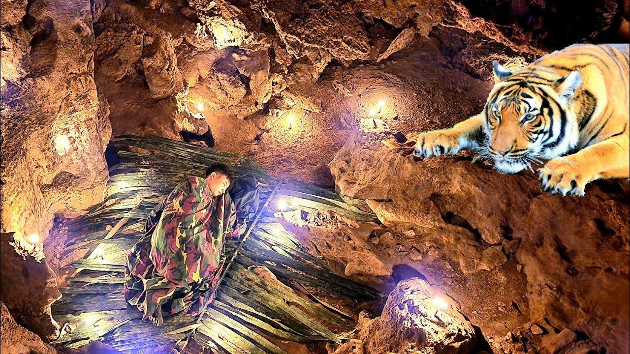 Make a shelter in a cave | wild survival skills | Wild Survival - YouTube