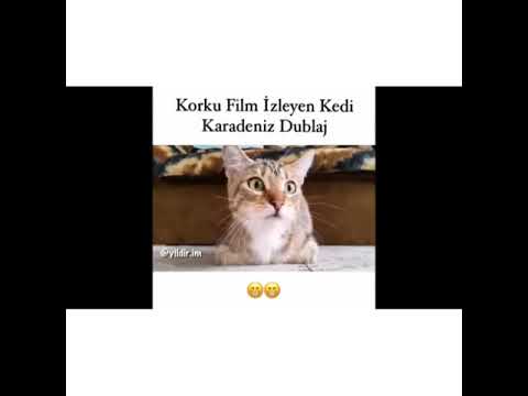 Karadeniz dublaj