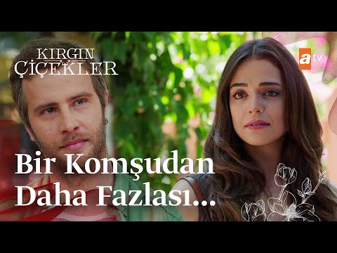 Toprak Feride'ye aşkını itiraf ediyor | Kırgın Çiçekler