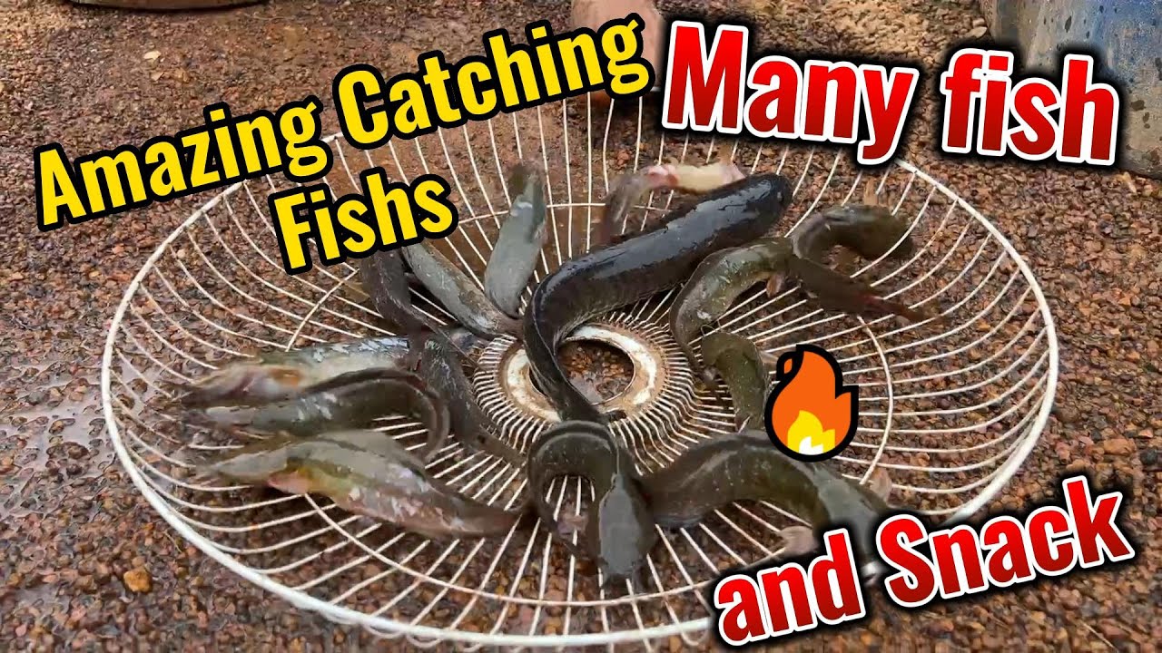 Amazing catching fish with fan #khsolo - YouTube