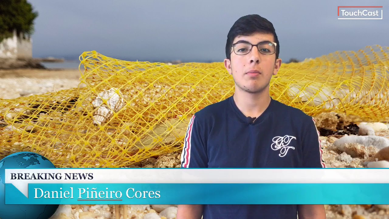 Dani banner - YouTube