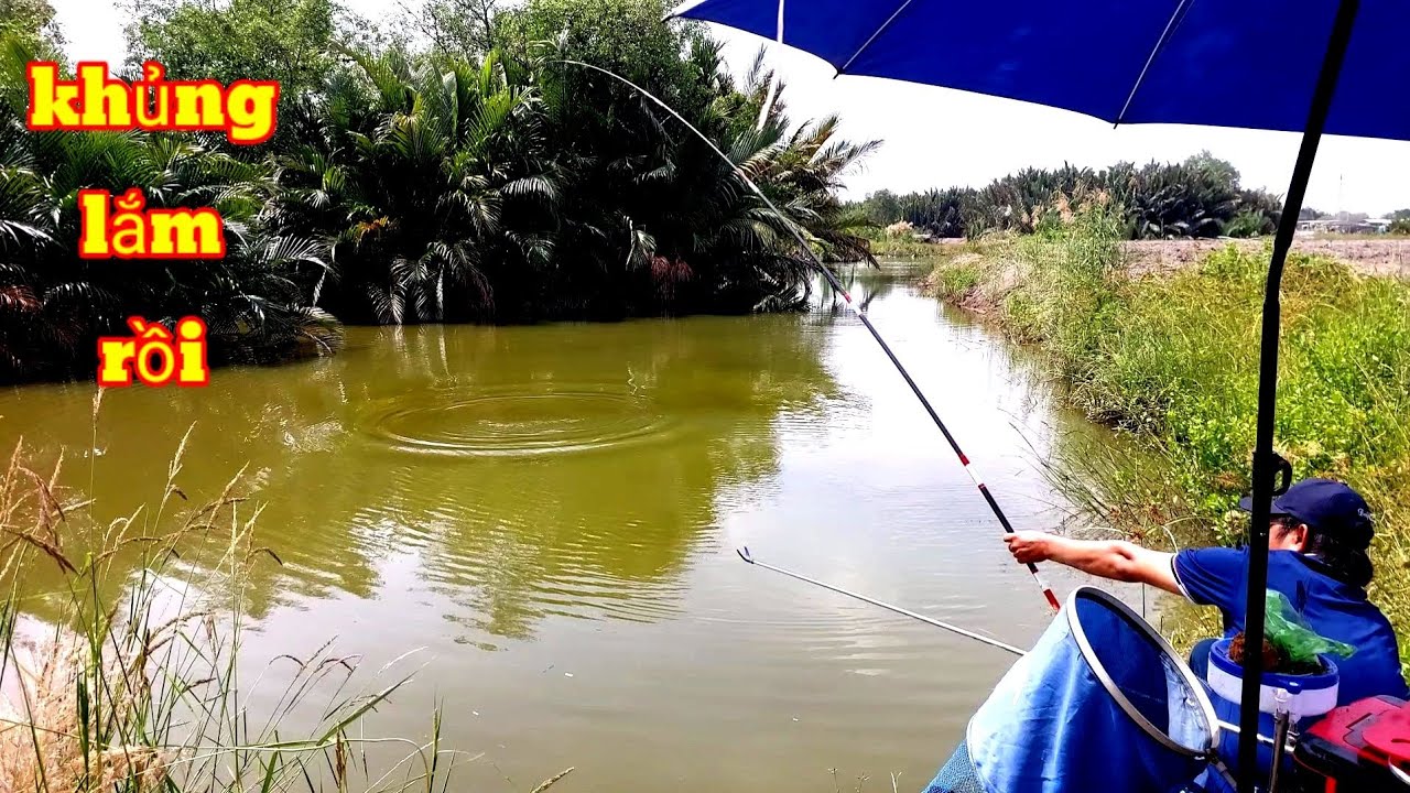 Câu Cá Sông Thiên Nhiên, Ra Cần Đụng Ngay Con Hàng Luôn...Câu Đài ...