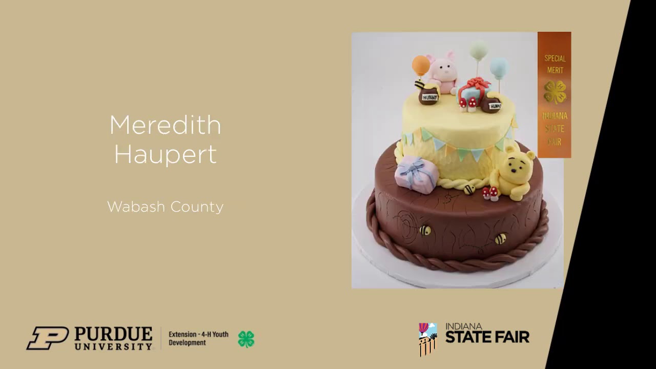 4 H Beginner Cake Decorating Ideas | Shelly Lighting