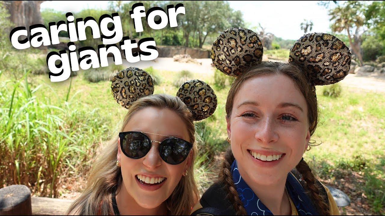 Caring For Giants (Elephant Encounter) | Backstage Tour at Disney's ...