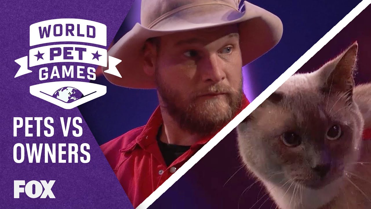 Pets Vs Owners | WORLD PET GAMES - YouTube