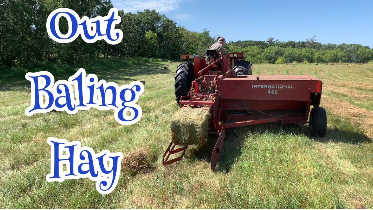 International Harvester | Out Baling Hay | 1650 Cockshutt Tractor - YouTube