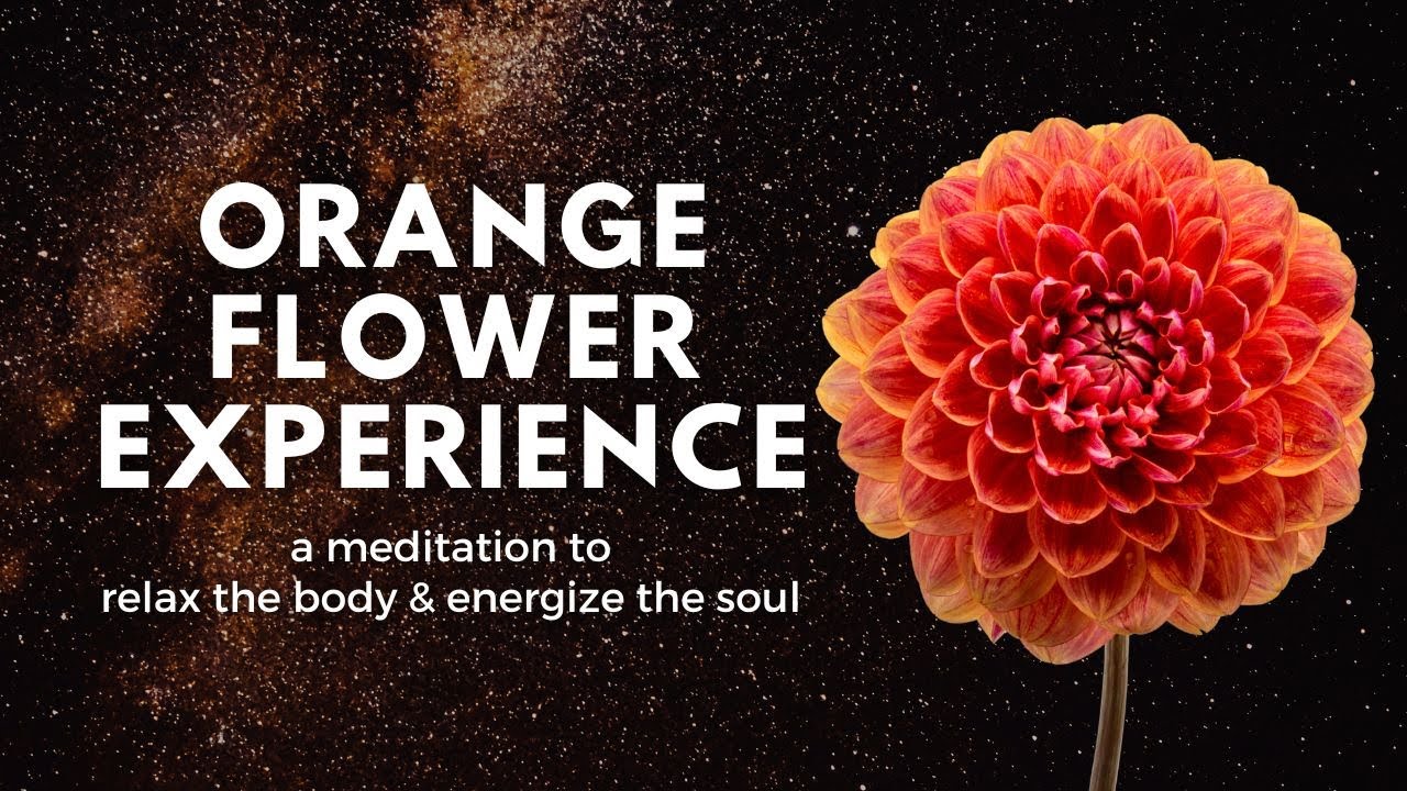 Orange Flower Experience | Relax the Body & Energize the Soul ...