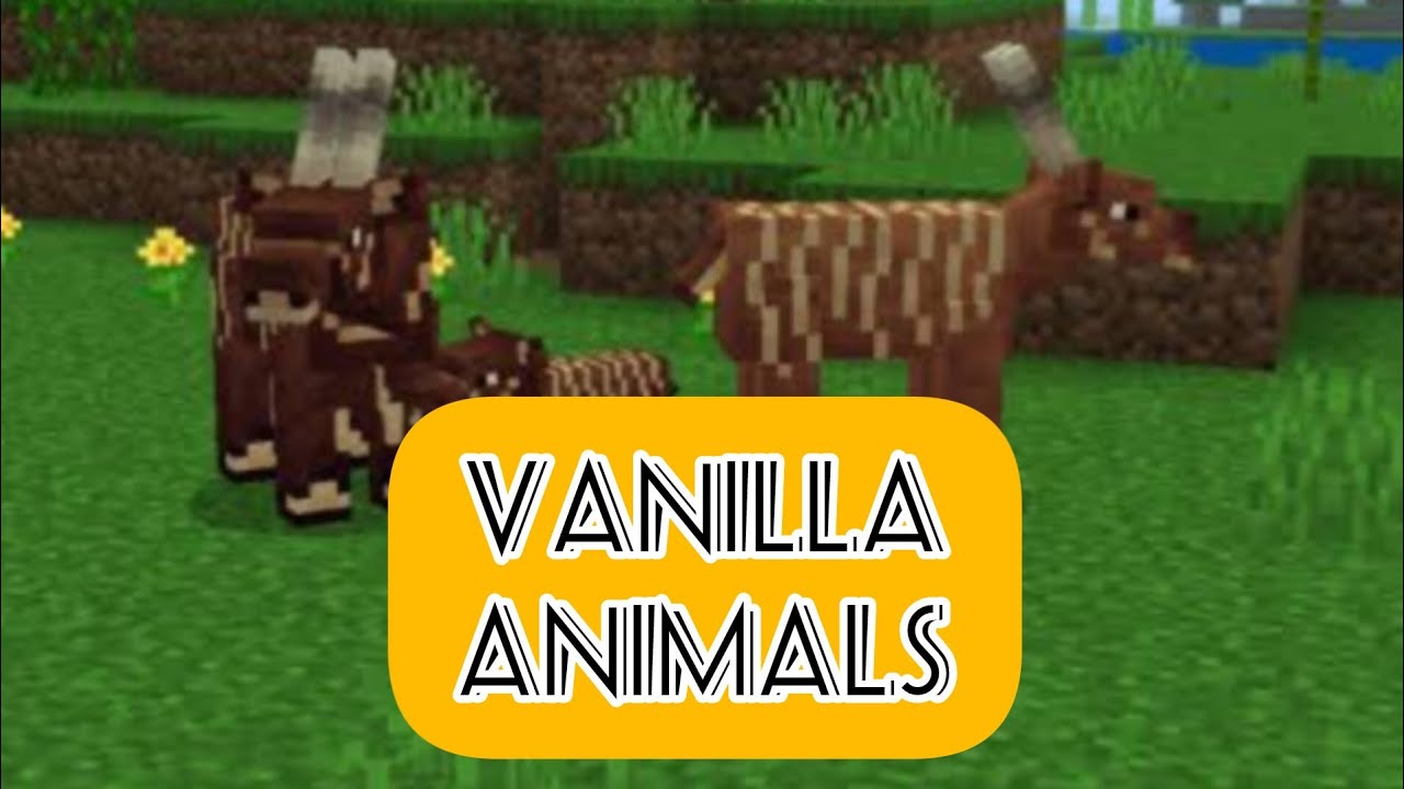 VANILLA ANIMALS | ADDON ANIMALES 1.21 MINECRAFT - YouTube
