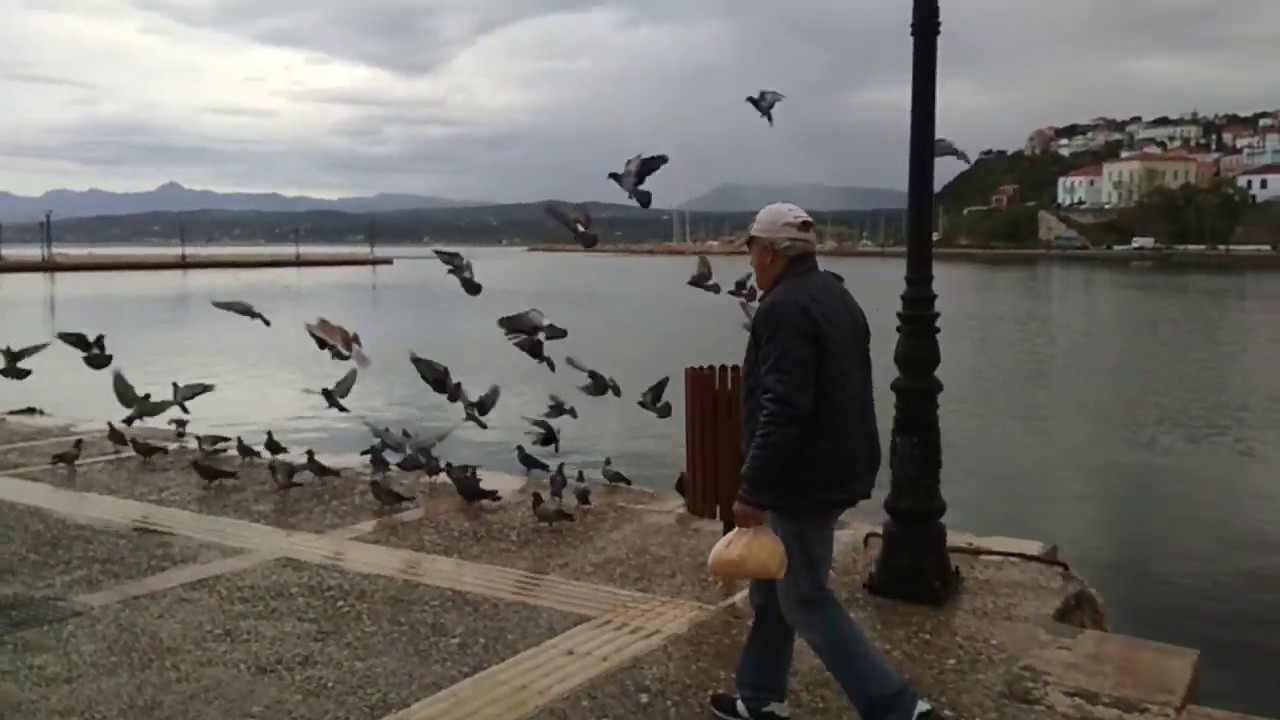 Ο ΜΑΚΗΣ ΚΑΙ ΤΑ ΠΕΡΙΣΤΕΡΙΑ ΤΟΥ - YouTube