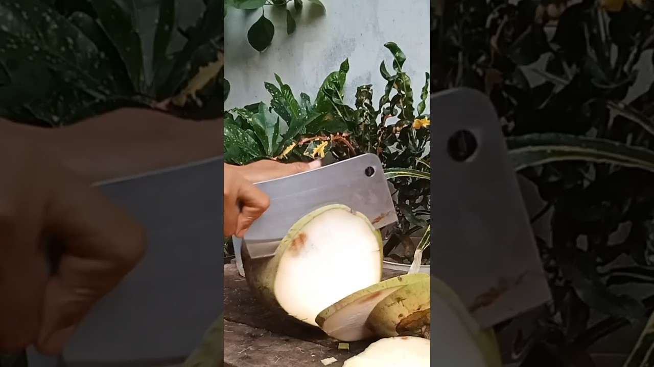 coconut cutting knife, amazing coconut peeling part 185 #cuttingskills ...