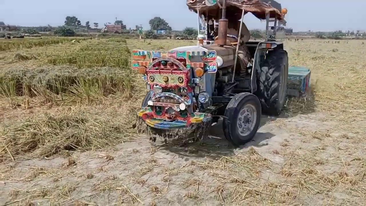 Rice slasher mechine/Shrub master - YouTube