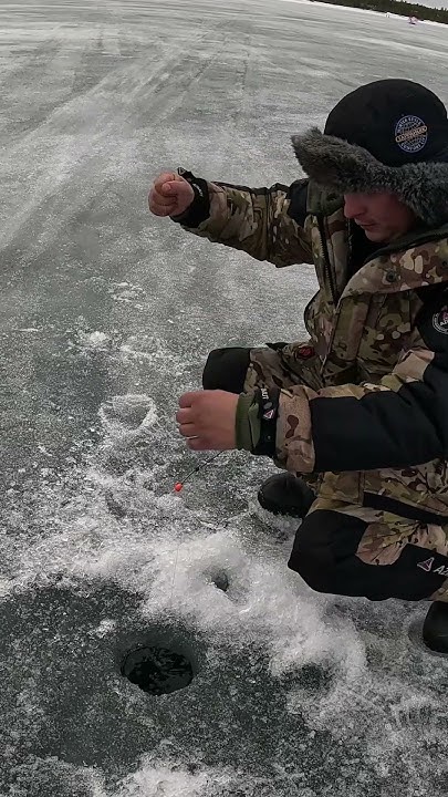 Зимняя рыбалка #рыбалка #fish - YouTube