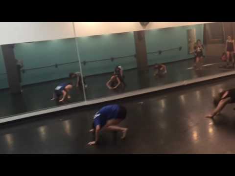 Dance dimensions Robert Schultz