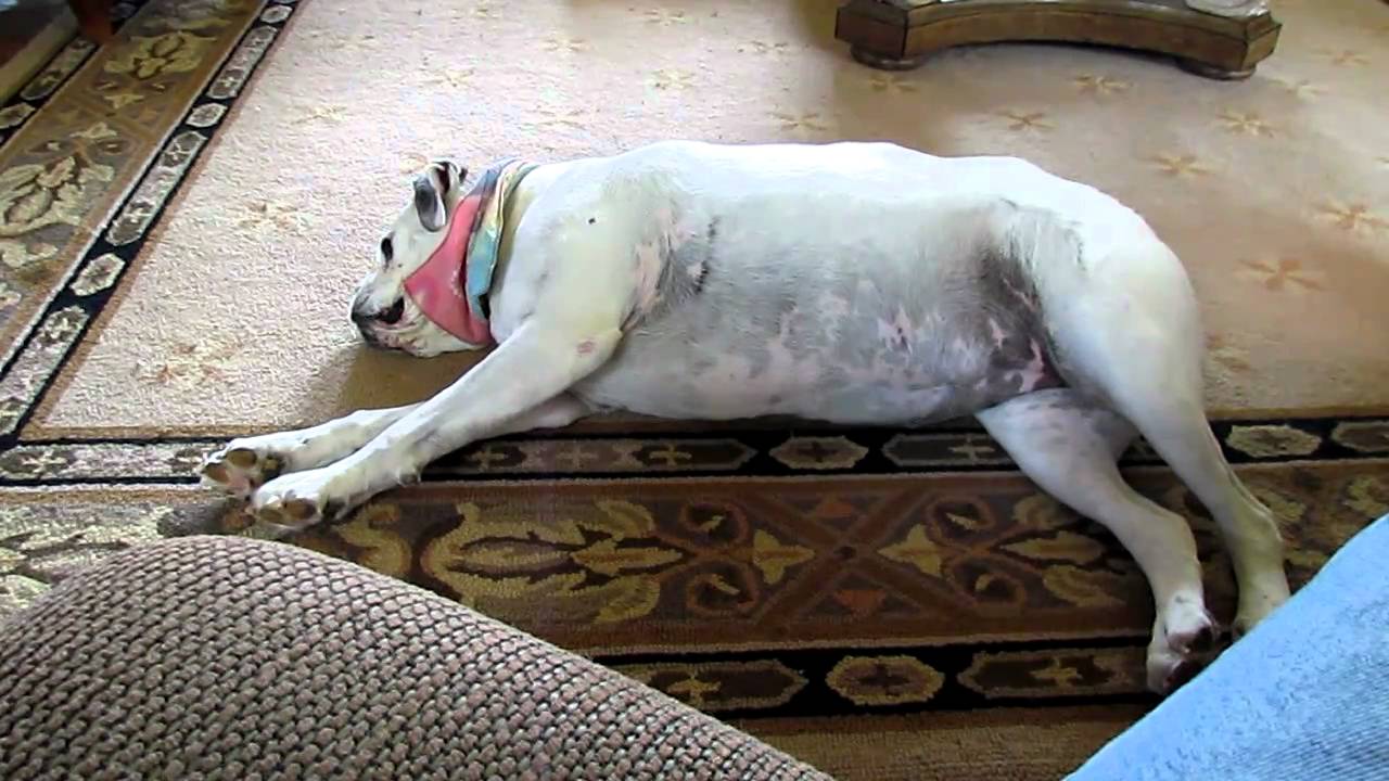 Pearl Talking - YouTube
